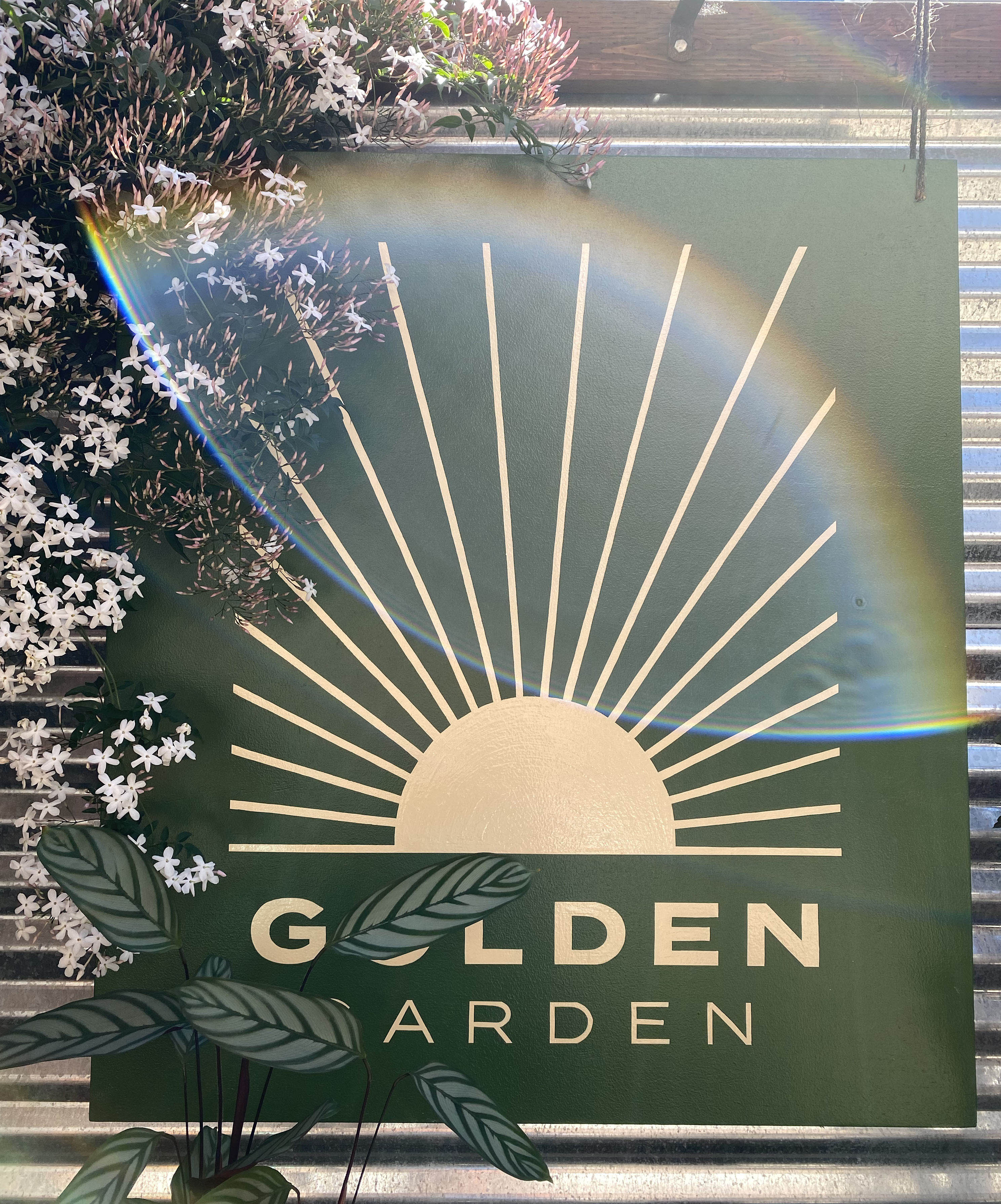 The Gold in Garden – Golden Garden