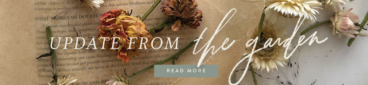 The Golden Garden Plant Shop and Garden Design Service